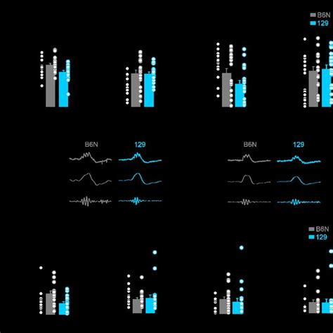 Enhanced Sharp Wave Ripples Sw R Across Ca3 Ca1 Hippocampal Axis Of