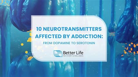 10 Neurotransmitters Affected By Addiction Better Life Recovery