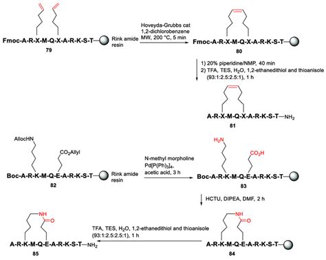 Scheme 24 On Resin Synthesis Of Macrocyclic Peptides Via Rcm Or Lactam Download Scientific