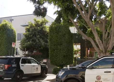 Moms Dead Body Found Wrapped In Plastic Inside Closet Informing News