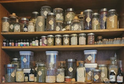 Maven Moon Herb ＆ Lore🌱 37 • 🏹🌙 🍃 🍃 🍃 🍃 🍃 Plantfriends Plantallies