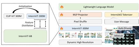 Mini InternVL A Flexible Transfer Pocket Multimodal Model With Parameters And