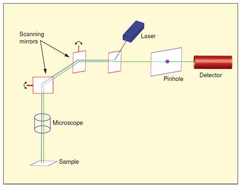 Visually Observable Vibration Sensitivity Of A Laboratory Bench Microscope Colin Gordon Associates