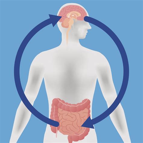 Probiotics May Help Boost Mood And Cognitive Function Harvard Health