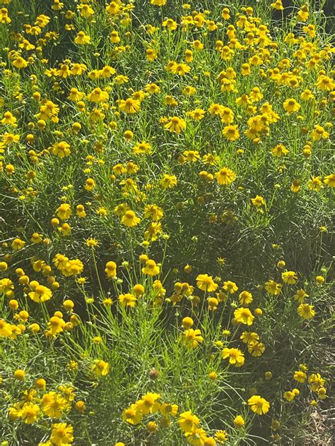 Beth Wills On Linkedin I Know Its Hard To Believe But Summer Is