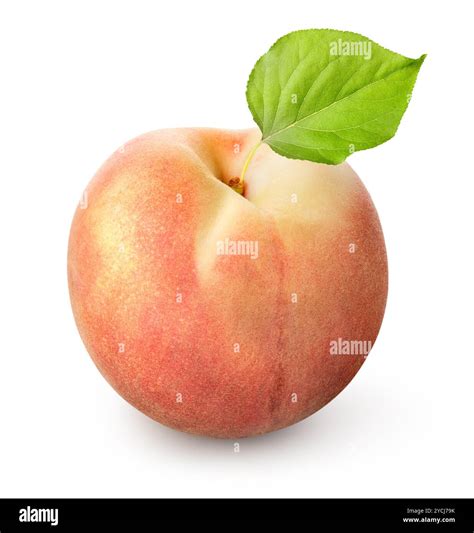 Peach One Sweet Fruits Cut Out Stock Images And Pictures Alamy