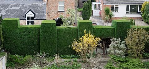 Heath Tree Surgery Tree Surgeon In Cheltenham