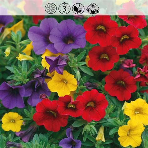 Trixi 3v1 Turčiansky Raj