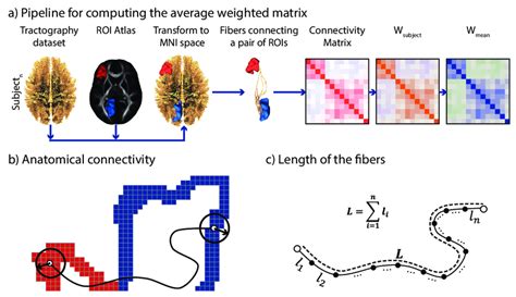 A Calculation Of The Average Weighted Matrix Wmean Subject