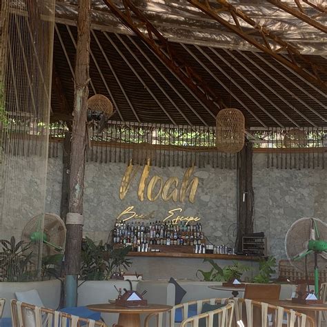 Noah Goa Anjuna Restaurant Reviews Phone Number And Photos Tripadvisor
