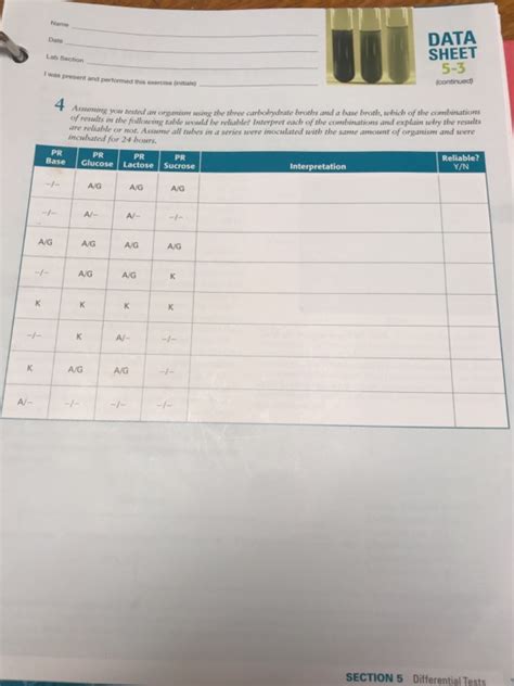 data sheet 5 3 fcontinued lab sectiorn i was present