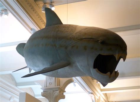 Favorite Extinct Placoderm The Dunkleosteus The Worley Gig