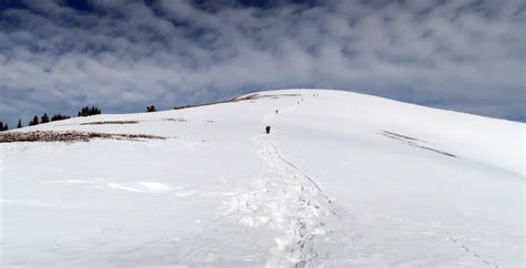 Skiing Quandary Bowl Dismal Wilderness
