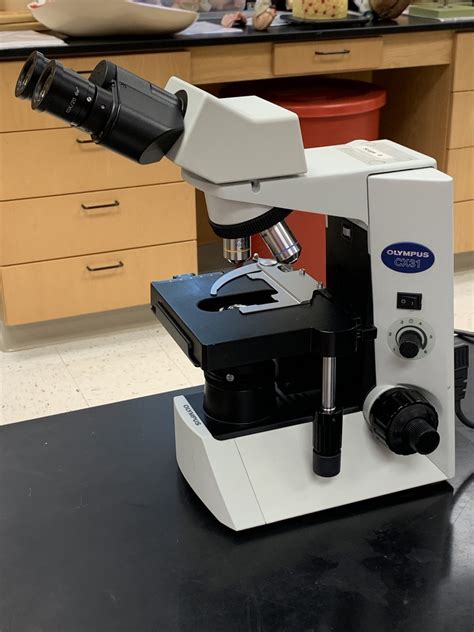Microscope Part 1 Diagram Quizlet