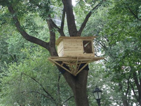 Pictures Of Tree Houses And Play Houses From Around The World Plans And Build Tips Guides