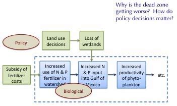 Using Logic Diagrams To Organize Knowledge And Pinpoint Ignorance