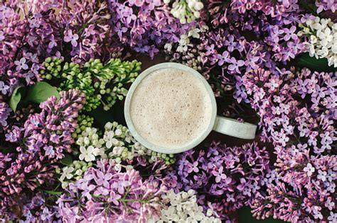 라일락 꽃과 따뜻한 커피 한 잔의 세련된 구성 평평한 누워 화려한 라일락 가지와 크림 같은 거품과 커피 좋은 아침 개념 봄 아침 정물 0명에 대한 스톡 사진 및 기타 이미지