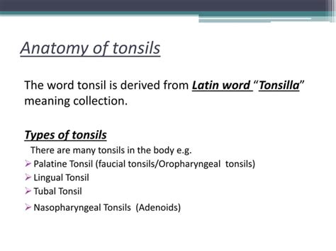 Diseases Of Tonsils And Adenoids Pptx Ear Nose And Throat Conditions Diseases And Conditions