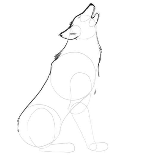 Wolf Drawing In 5 Steps Beginners Guide [video Images] Traceable
