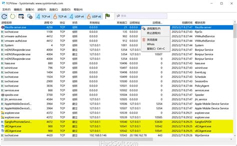 Tcpview 汉化中文版 官方原版 网络连接tcp Udp管理工具 嗨软