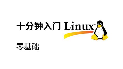 十分钟入门Linux系统零基础 YouTube