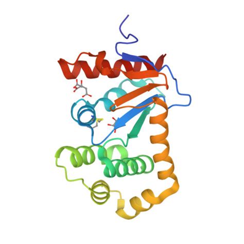 Rcsb Pdb 8eqp Crystal Structure Of Li Dsba Mutant E24a E37a K58a