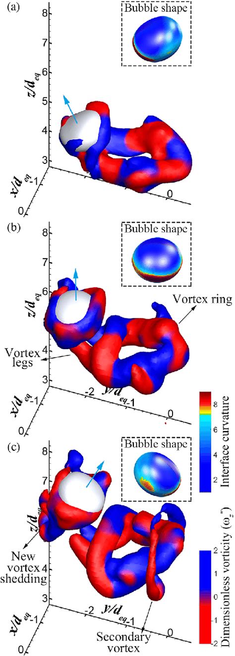 Wake Structures From Time Resolved Piv Results The Vortex Structures