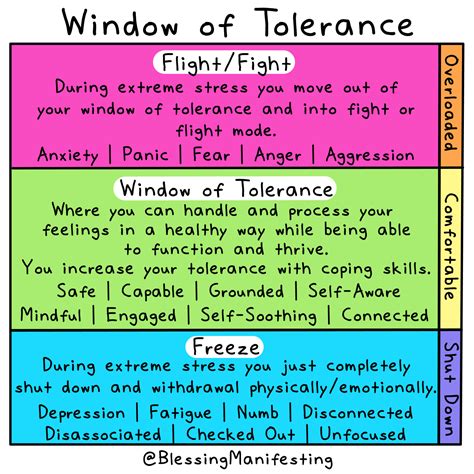 Window Of Tolerance Activities