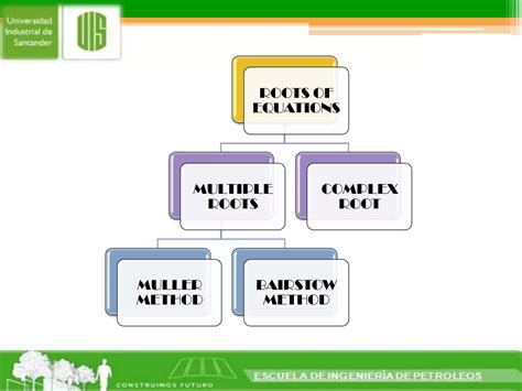 ROOTS OF EQUATIONS PPTX