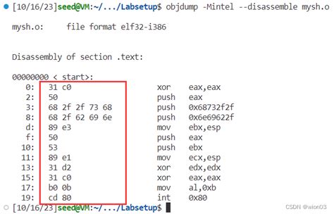 网络攻防技术—shellcode编写实验 task 1 d providing environment variables for exec