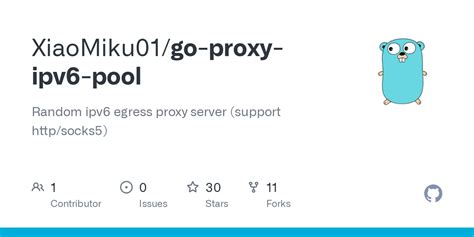 github xiaomiku01 go proxy ipv6 pool random ipv6 egress proxy server