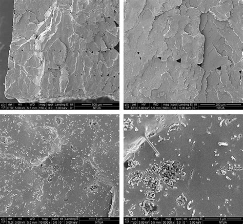 Additive Nanomanufacturing Perspectives The Use Of Nanofillers And Tailored Materials