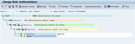Sapconnector Authorization Objects
