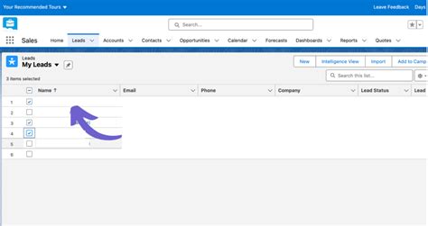 Salesforce Lead Conversion Mapping A Comprehensive Guide