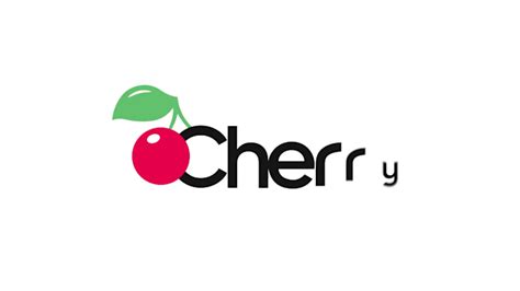 Create An Animated Logo Custom Animation Intro Video By Bosops Fiverr