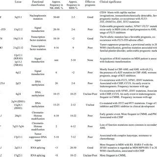 Common Gene Mutations In AML MDS And Their Clinical Significance Download Table