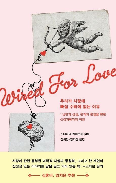 인간의 뇌는 사랑하도록 진화했다 네이트 뉴스