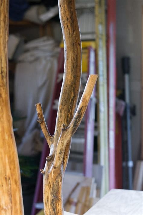 How To Treat Tree Branches For Indoor Use Decor