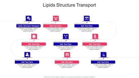 Lipid Transport PowerPoint Presentation And Slides PPT Presentation SlideTeam