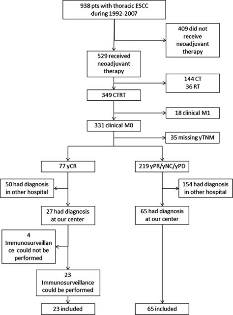Flowchart Of Included Patients Abbreviations Ppd Persistence Or Download Scientific Diagram