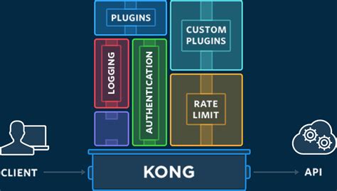 日本初開催 オープンソース api gateway kongの勉強会：北瀬公彦の「クラウドレポート」：オルタナティブ・ブログ