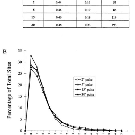 Computer Image Analysis Of Individual Replication Sites Replication