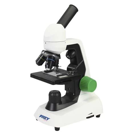 Microscope Mania Worksheet At Jack Black Blog