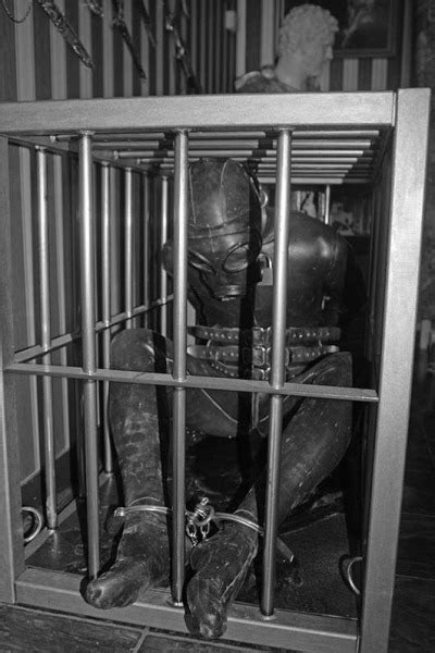 Die Richtige Haft Für Schwanzsträflinge Tumbex