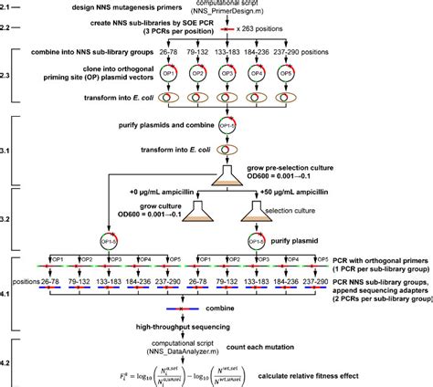 A Protocol For Functional Assessment Of Whole Protein Saturation
