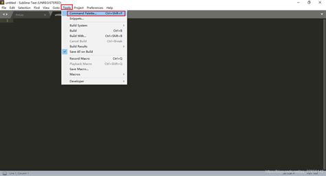 命令窗口 及 Sublime Text 中python的调试sulime Text Print Csdn博客