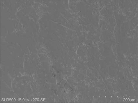 Duplex Microstructure Of Sdss At 270 × Download Scientific Diagram