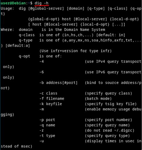How To Install Nslookup On Debian 12 Liberian Geek