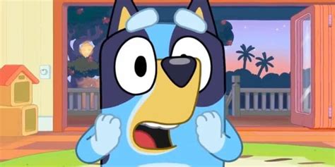 Multiple Bluey Episodes Censored Banned Amid Controversy
