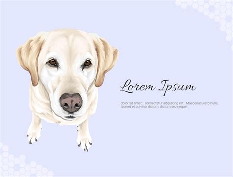 Premium Vector Vector Labrador Retriever Wall Decor Ideas